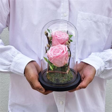 The Symbolism Of Forever Roses What They Mean In Different Colors