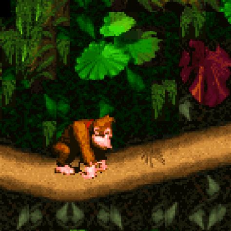 Donkey Kong S