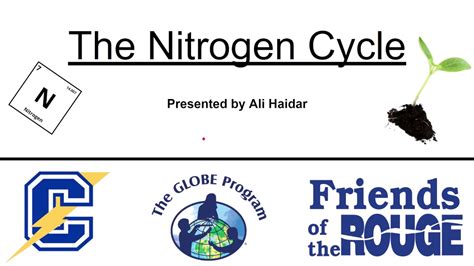 Apes Nitrogen Cycle Explained Youtube