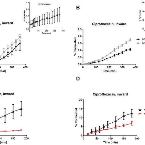 Overview Of The Rpe Cell Model Properties Download Scientific Diagram