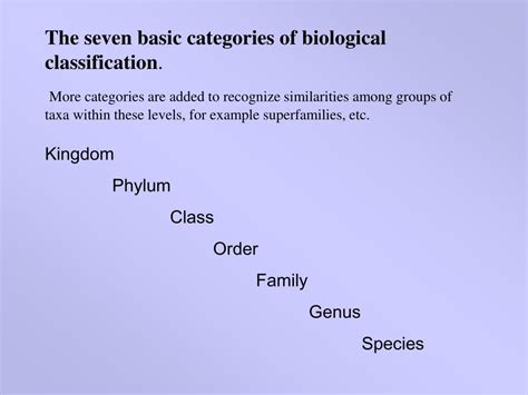 Ppt Kingdom Phylum Class Order Powerpoint Presentation Free Download