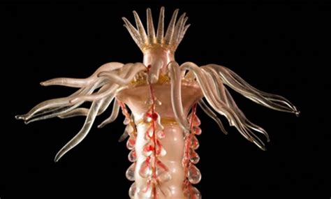 What You Should Know About The Art Glass Market Nudibranch