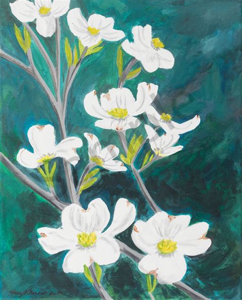 Painting Dogwood Flowers At Explore Collection Of