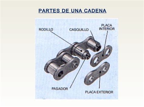 Bienvenido A Cadenas Y Piñones Junio 2015