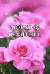 Good Morning Beautiful Pink Flowers 