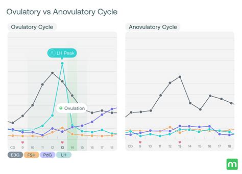 Anovulation In Ovulatory Cycle
