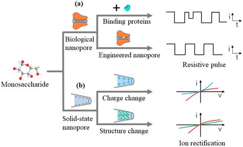 Research Progress On Saccharide Molecule Detection Based On Nanopores