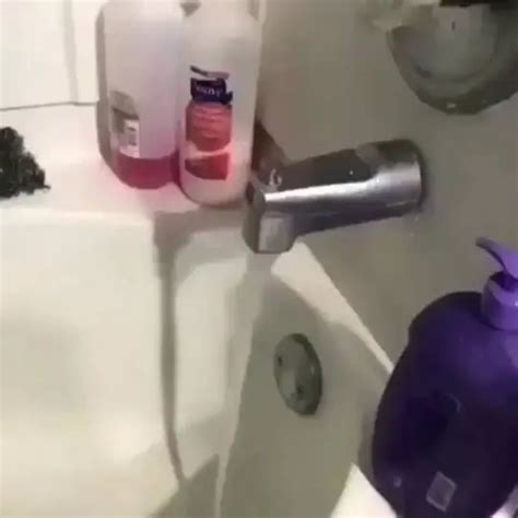 Smol Pupper Does A Swim Scrolller