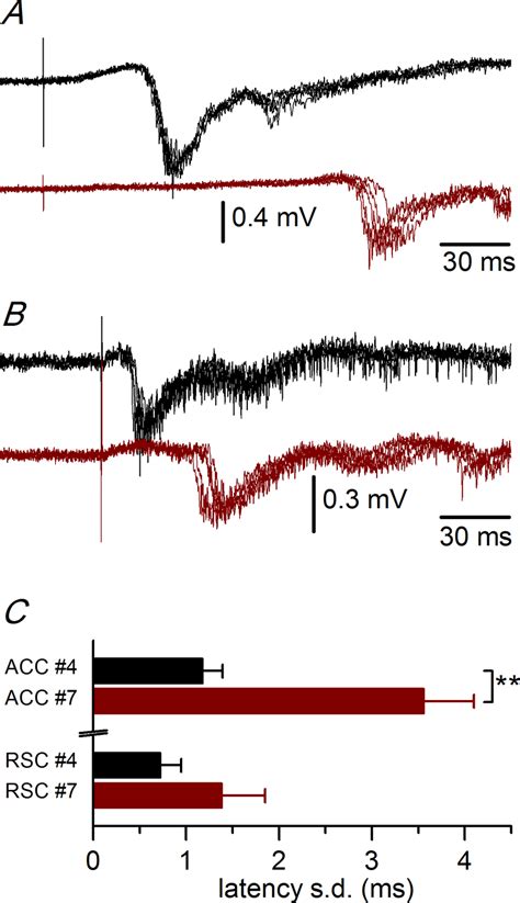 latency variability in the acc and rsc a example of latency