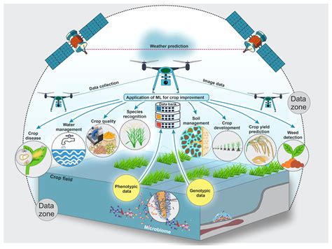Frontiers Harnessing The Power Of Machine Learning For Crop