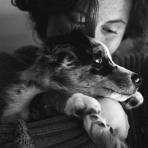 Testcodes Voor Fecal Dx Antigeentest Idexx Nederland