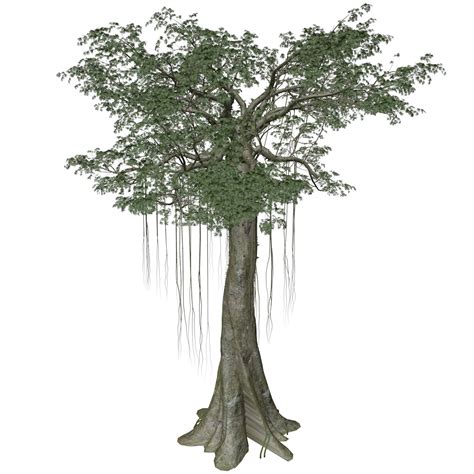 Artstation Kapok Tree 01 High Poly Tree 3d Model Game Assets