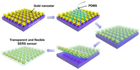 Introduction And Development Of Surface Enhanced Raman Scattering Sers