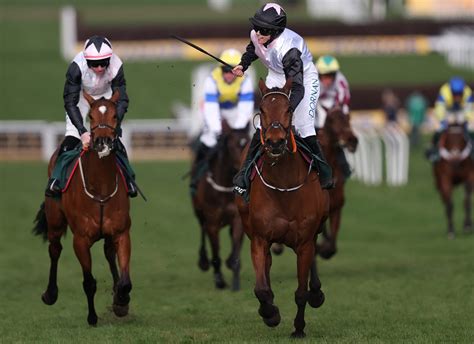 He Is Back Now Rejuvenated Bob Olinger Stars In Stayers Hurdle