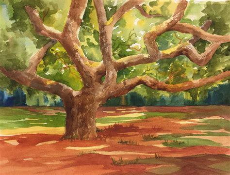 Watercolor Just For Fun May 9 16 23 And 30 With Barbara Pecce • Soba