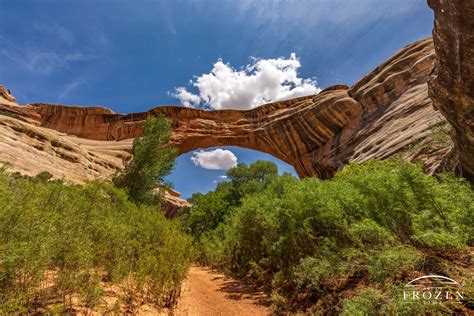 Sipapu Natural Bridge No 11 Art Of Frozen Time