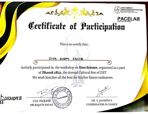 Diya Susan Jacob On Linkedin Datascience Certification Iistworkshop Learningjourney