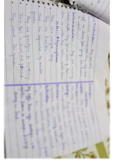 Solution Classification Of Amphibians Studypool