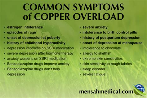 Copper Overload And Depression In Women A Critical Analysis