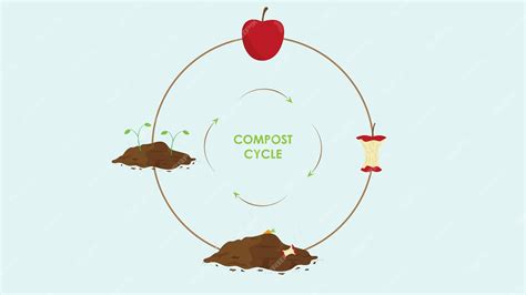 Concepto De Ciclo De Compost Contenedor De Compost Con Ilustración De