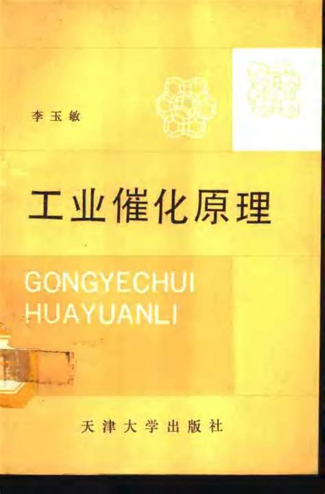 工业催化原理 李玉敏 编著 化学工业资料免费下载多蛋网