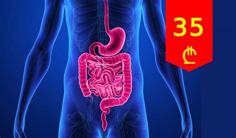 გასტროენტეროლოგიური დიაგნოსტიკა