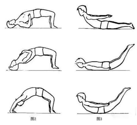 小飞燕真的能治疗腰间盘吗？小燕飞标准动作 知乎