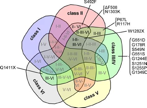 Refined Classification Of Cf Mutations Accounting For Complex Download Scientific Diagram