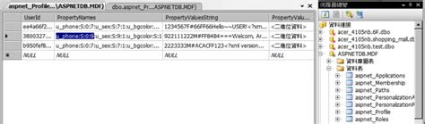 [asp]login控制項 與 profile的資料表格式（aspnetdb mdf） asp專題實務 webform