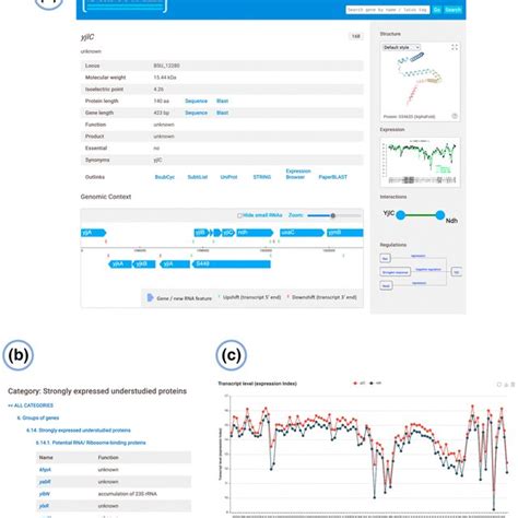 Integration Of Information On Bacillus Subtilis Genes And Proteins In