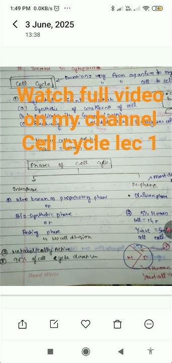 Interphase M Phase Detail Explaination Cell Cycle Youtube