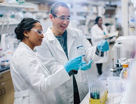 Pathology Technician Assistant At Kaiser Permanente