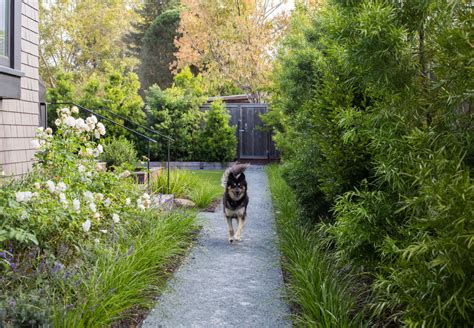 Decomposed Granite Hardscaping 101