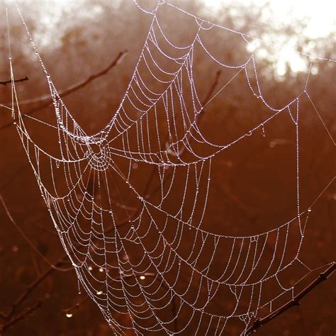 Maths Teacher Training Scholarships On Linkedin Fibonacci Fibonaccisequence Halloween