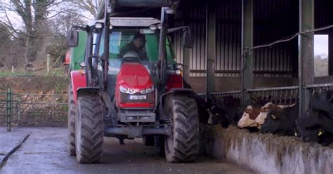 Abp Demo Farm Cattle And Store Lamb Performance Update Agriland Ie