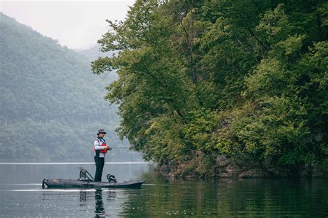 Flash Pd Feelfree Chile