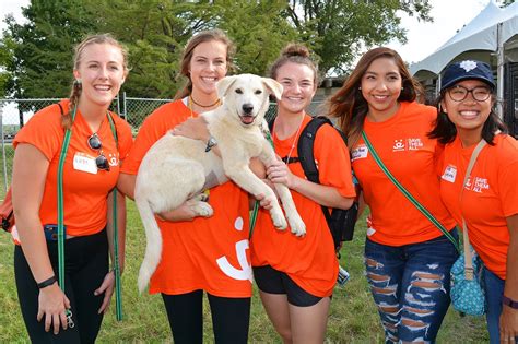 Best Friends Animal Shelter Volunteer At Rosemary Henry Blog