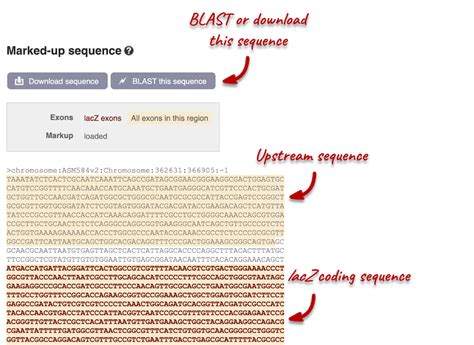 Genes And Transcripts In Ensembl Bacteria Demo