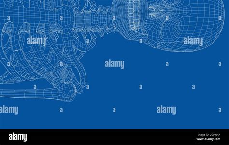 Human Skeleton Vector Stock Vector Image And Art Alamy