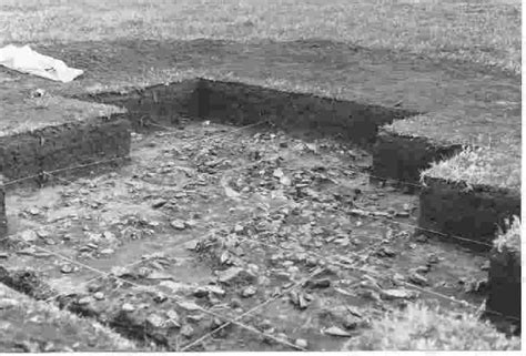 Archeological Excavation Uncovering Angular Cobble Download Scientific Diagram