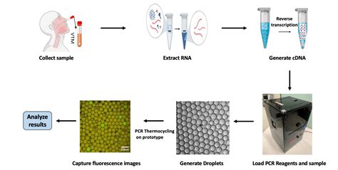 What Is A Digital Pcr At Hunter Coningham Blog