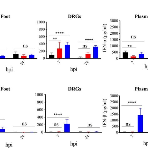 The Pseudorabies Virus Prv Replication Cycle Following Virion Download Scientific Diagram