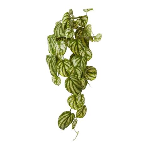 Artificial Trailing Peperomia Plant 81cm Desflora