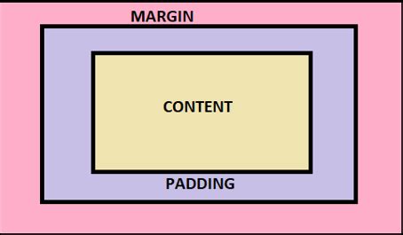 CSS Box Model Examples To See How The Box Model Works