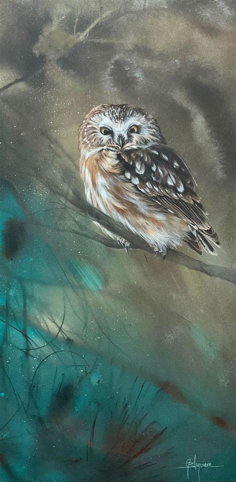 Belle De Nuit Miss Rey