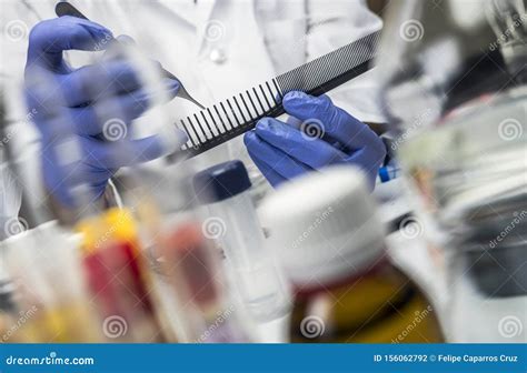 Scientist Police Hold Murder Victim Comb To Find Dna In Crime Lab Stock