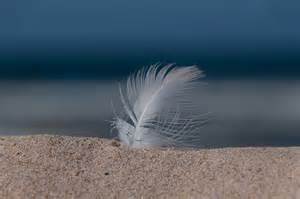 Ferretdb Cloud：mongodb Atlas的开源替代方案