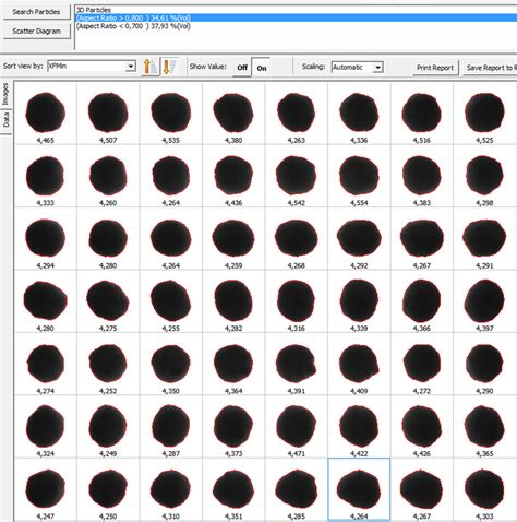 Online Particle Size And Shape Analysis Automatic And Digital