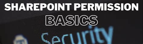 sharepoint online permission basics