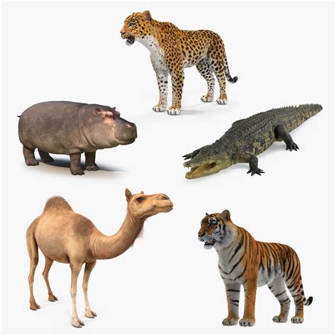 Animals 3d Free 3d Models Download Free3d